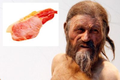 Were Cavemen Real? The True Scientific Facts Are Here! - Enter the Caves