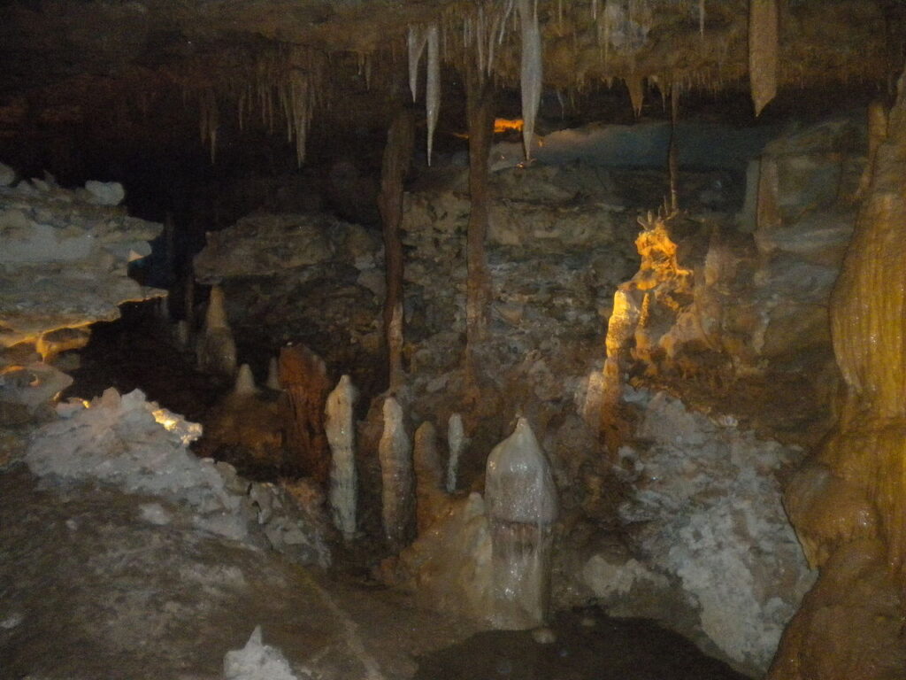 Why You Must See the Inner Space Cavern (Georgetown Caves) - Enter the ...