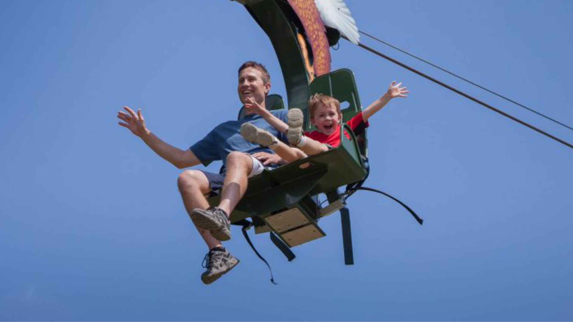 Why You Must See the Inner Space Cavern (Georgetown Caves) - Enter the ...