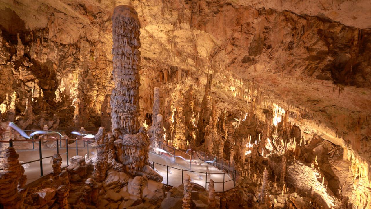 Postojna Cave: Where You Can See Baby Dragons in Real Life! - Enter the ...