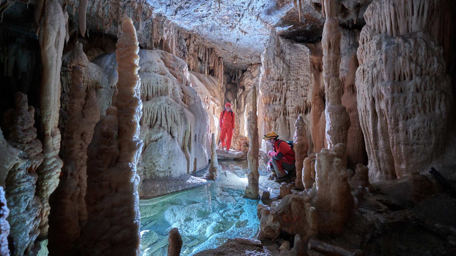 Postojna Cave: Where You Can See Baby Dragons in Real Life! - Enter the ...