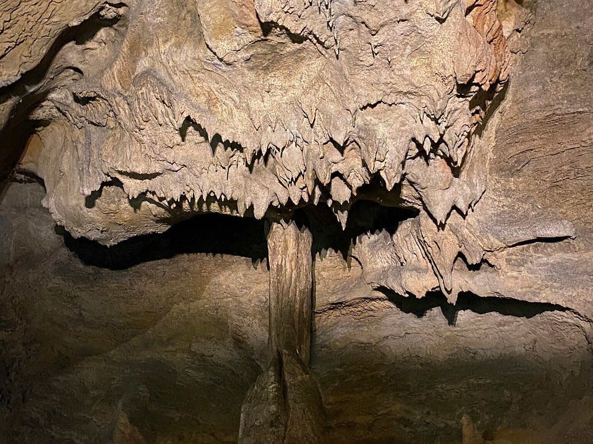 The Best Caves In Tennessee Usa Complete List Enter The Caves