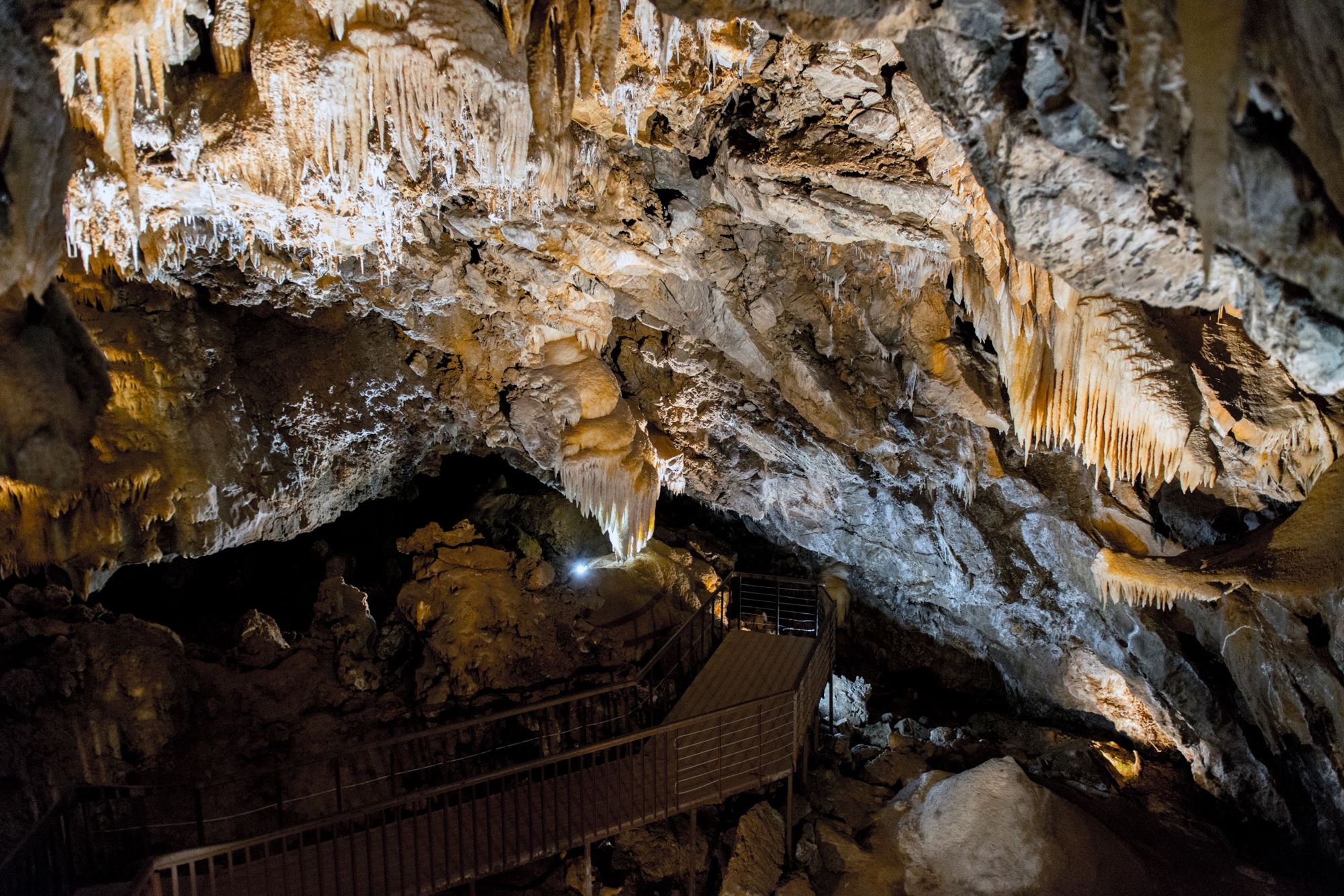 Black Chasm Cavern: A Spectacular Vertical Cave in California - Enter ...
