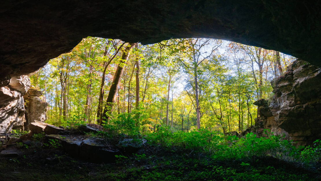 The Best Caves in Alabama, USA: Complete List - Enter the Caves