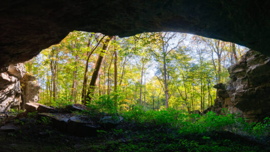 The Best Caves in Alabama, USA: Complete List - Enter the Caves