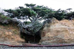 The Best Caves in Washington, USA: Complete List - Enter the Caves
