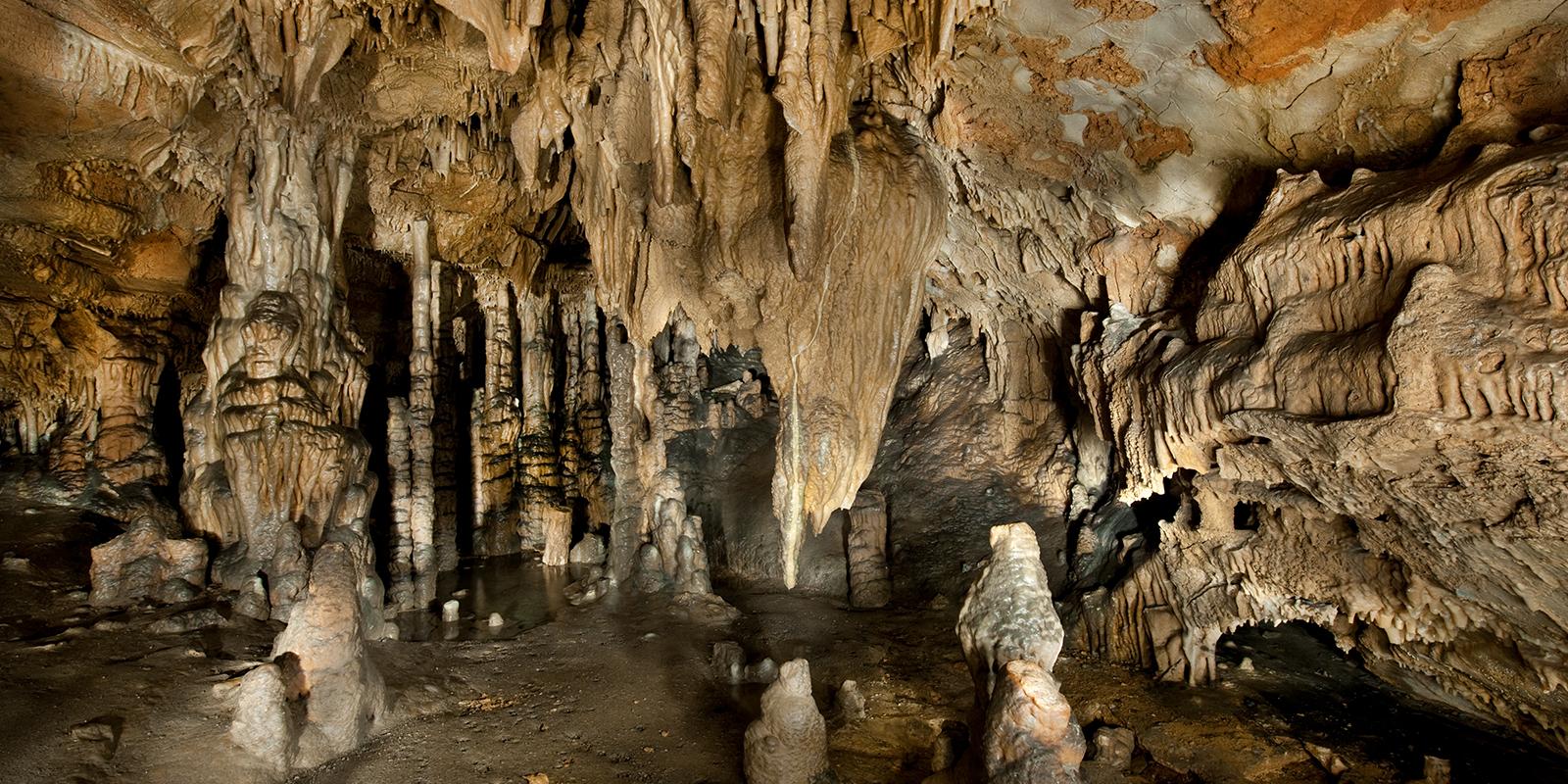 The Best Caves in Virginia: Complete List - Enter the Caves