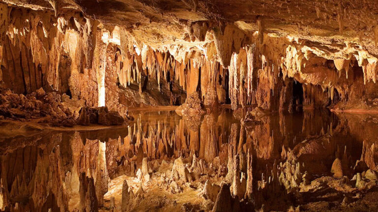 The Best Caves in Virginia: Complete List - Enter the Caves