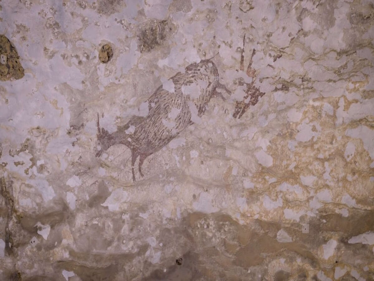 The Oldest Cave Paintings in the World - Enter the Caves